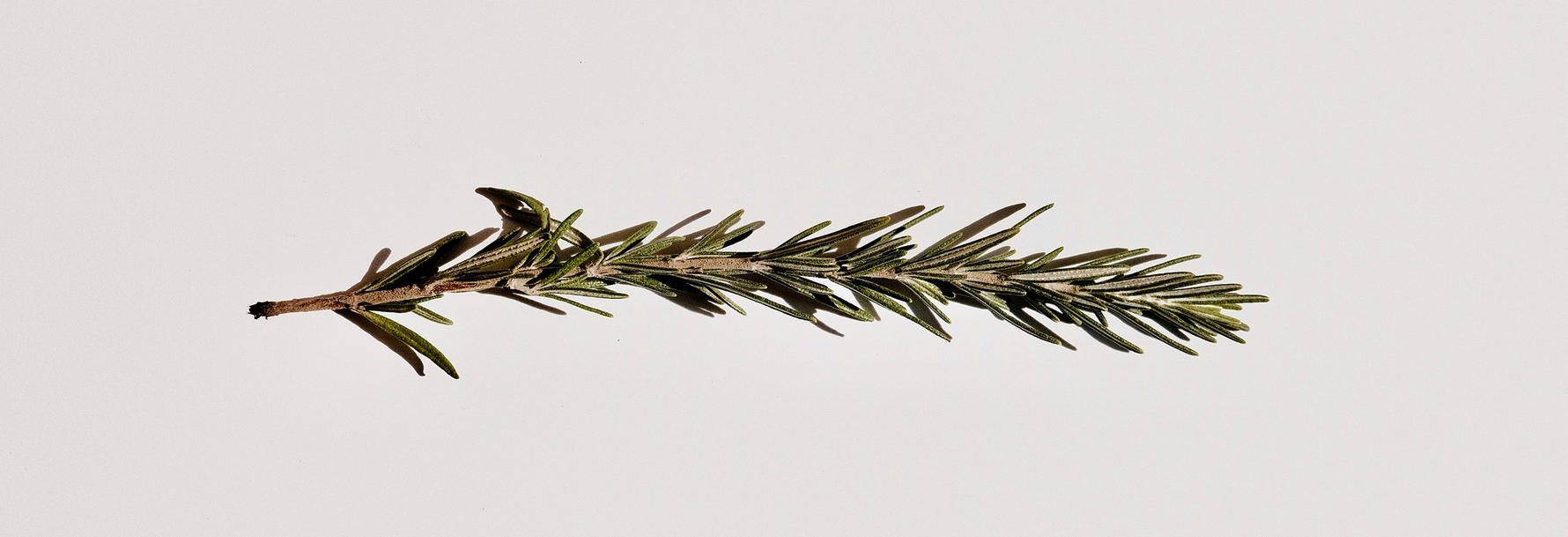 Specials – Limnos Poultry