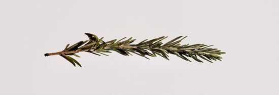 Specials – Limnos Poultry